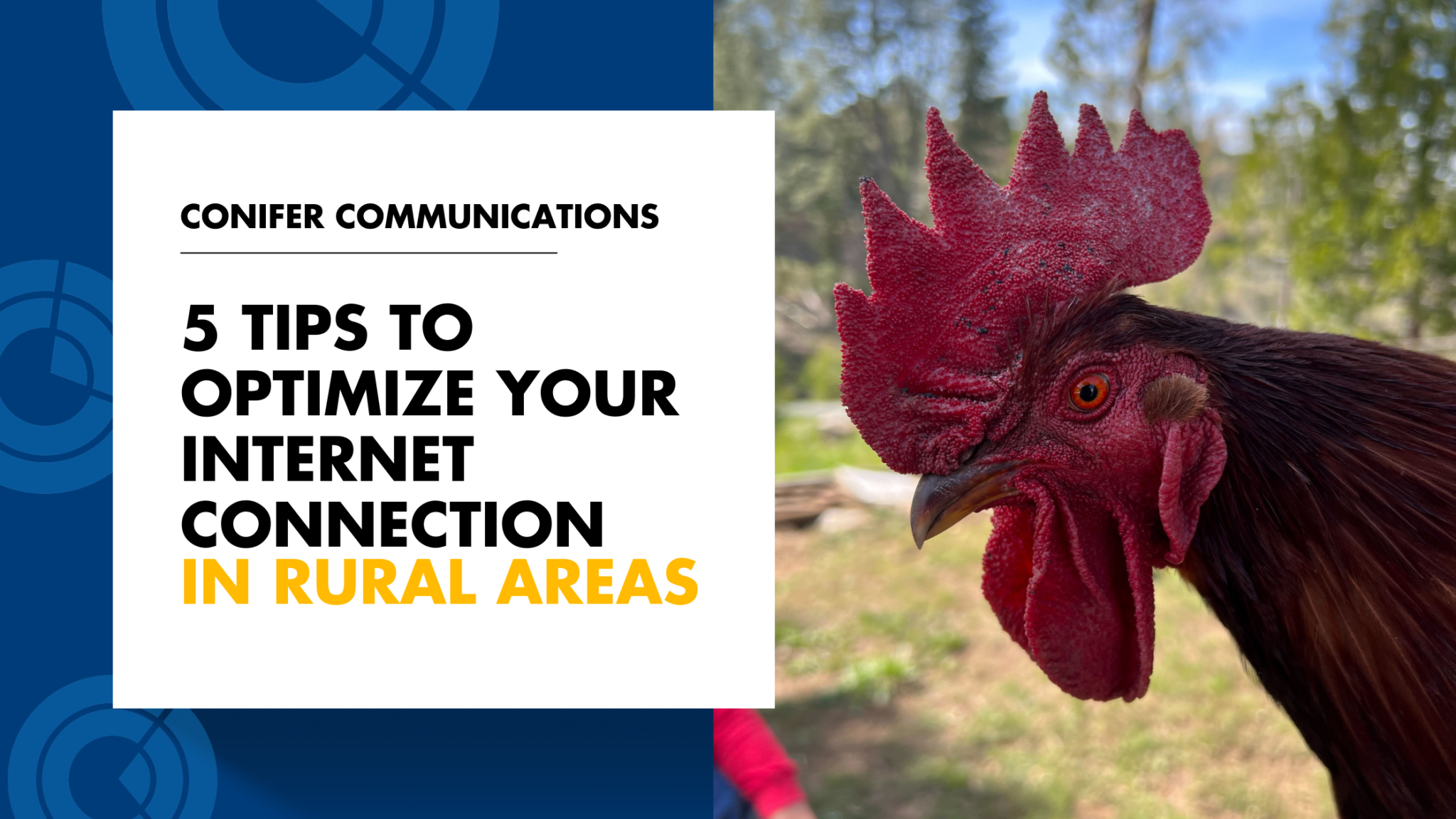 5 Tips To Optimize Your Internet Connection In Rural Areas